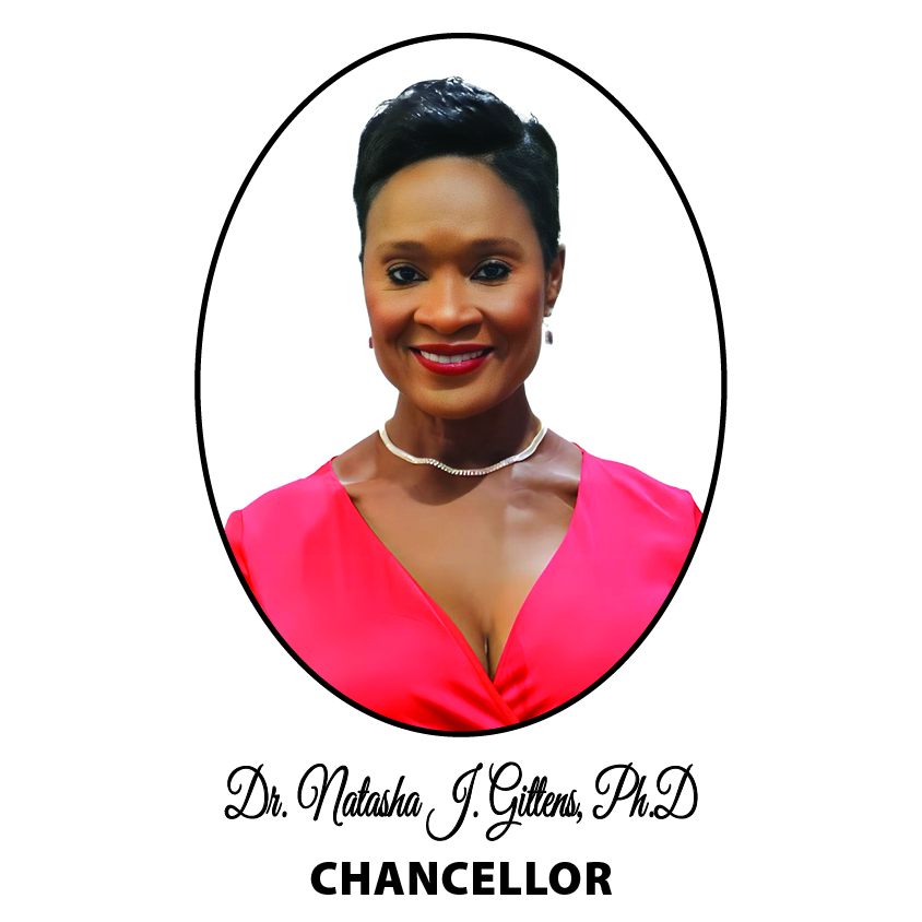 Gittens hace que el aprendizaje en línea sea asequible para todos - SXM ...